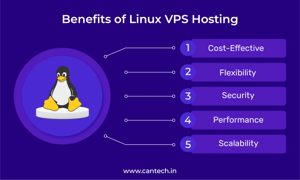 What is Linux VPS Hosting? Types, Uses and Benefits