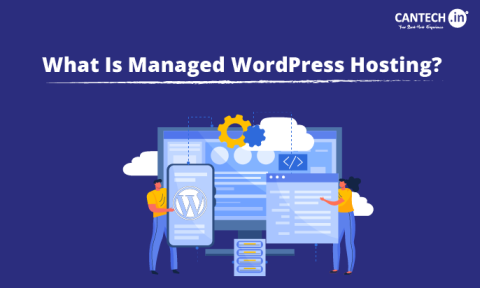 What is WordPress? Beginner's Guide & Overview
