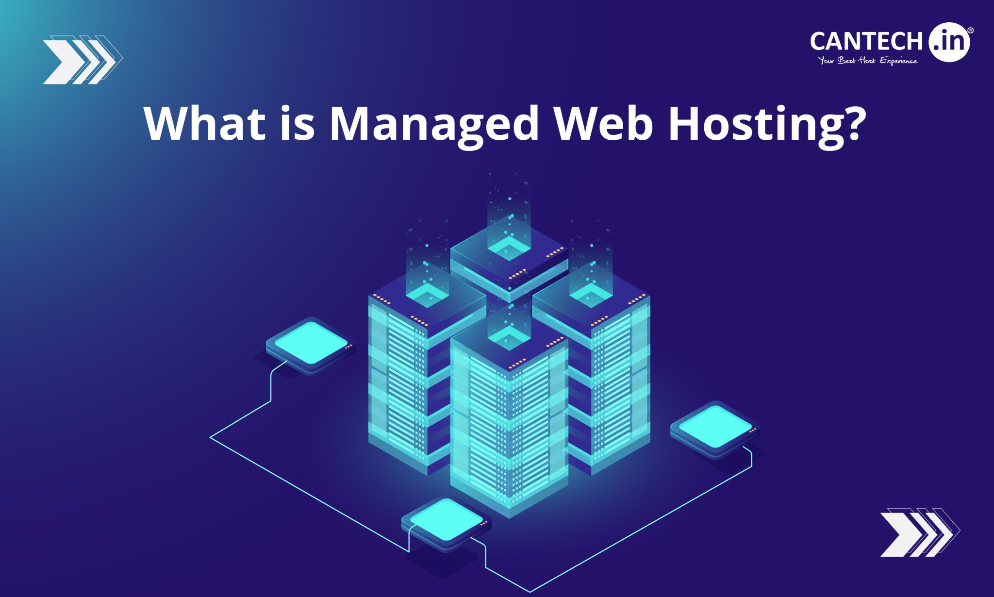 Types of Managed Hosting Services: Which One is Best For You?