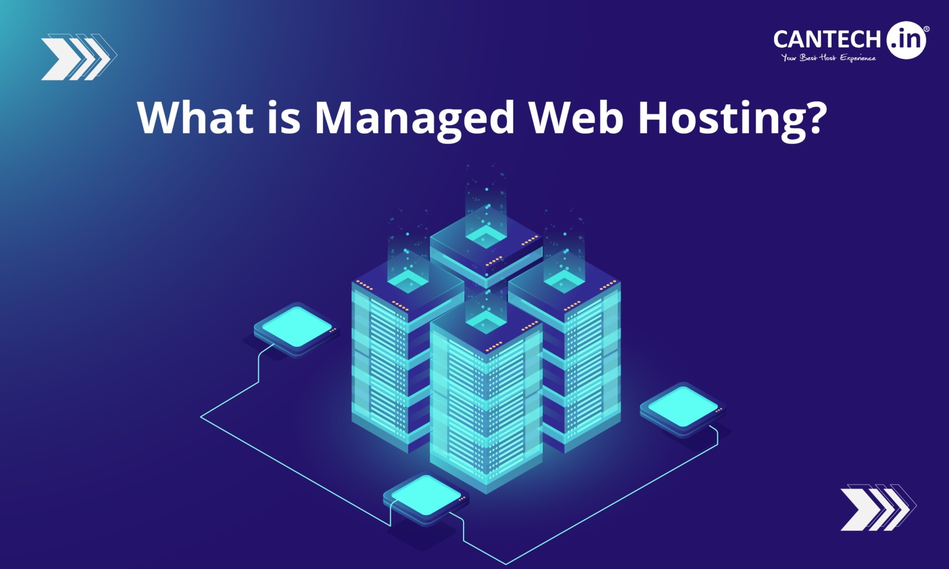 Types of Managed Hosting Services: Which One is Best For You?