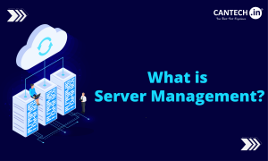 What is Server Management? Definition, Components & More