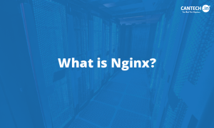 What is NGINX Server Explained