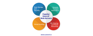 7 Different Types of Web Servers Explained: Apache, Nginx & More