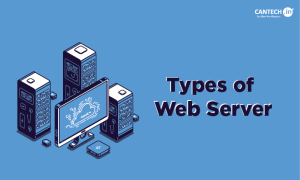 Understanding the Different Types of Web Servers