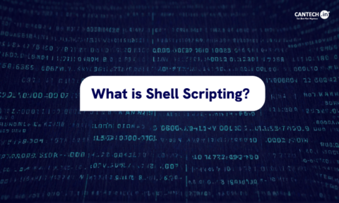 What is Shell Scripting? Uses, Types, Commands with Examples