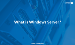 Linux Server vs Windows Server (2025): Key Differences
