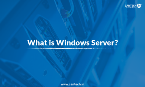 Linux Server vs Windows Server (2025): Key Differences
